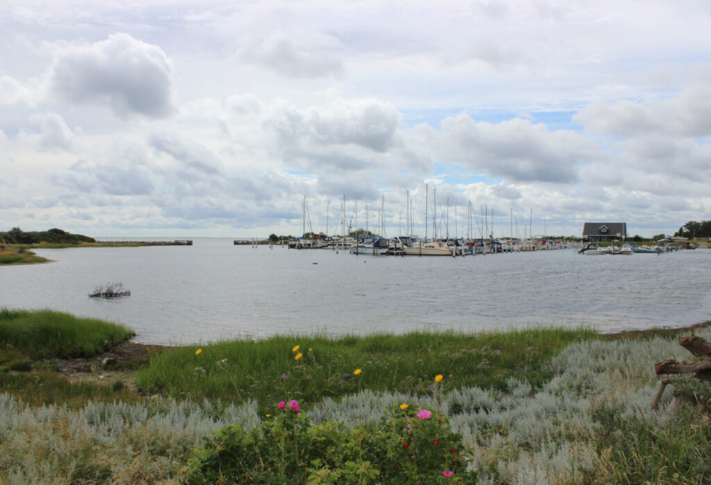 Aalborg Bugt: Område - blaaoplevelser.dk